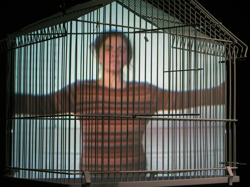 battements 2007 | manon labrecque